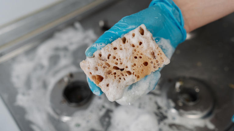 Why You Need To Clean The Grease & Grime Off Of Your Kitchen Appliances ...