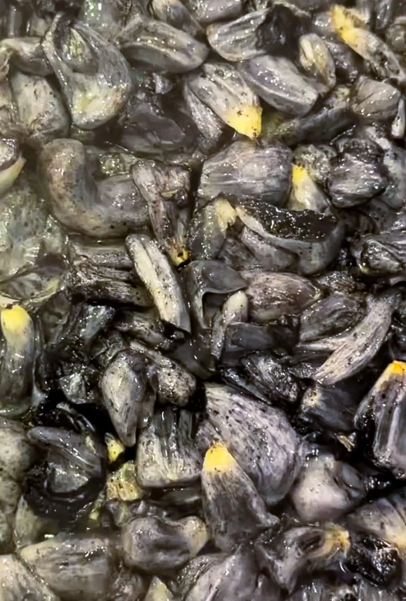 Huitlacoche: The Mexican Truffle You Need in Your Kitchen