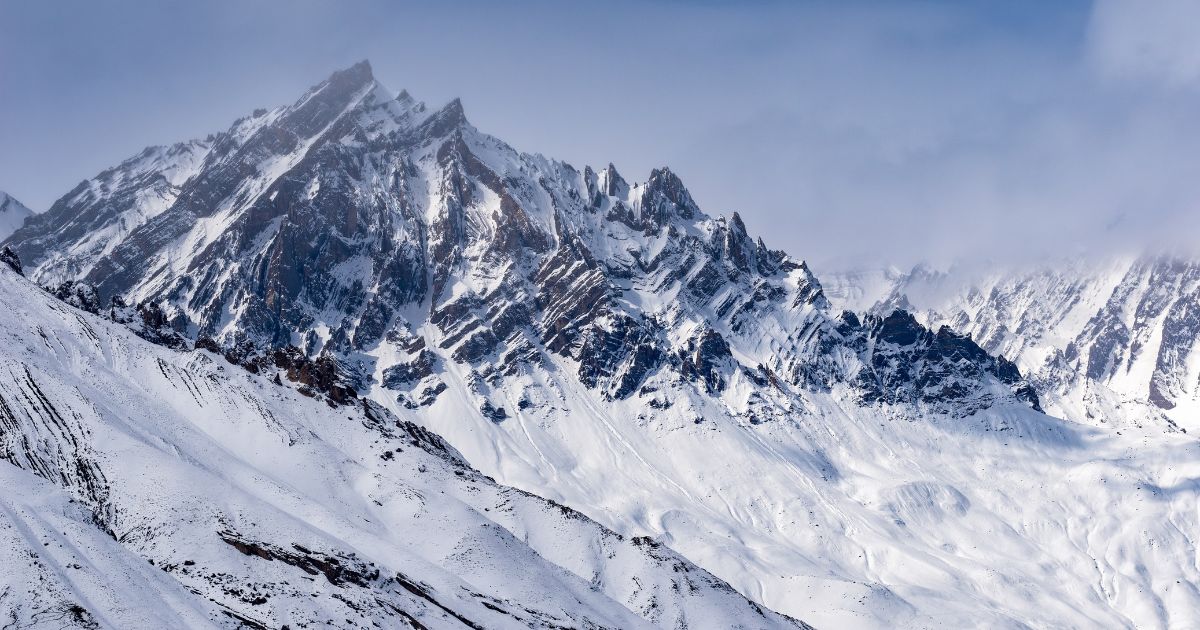 Une photo rarissime d’un animal insaisissable de l’Himalaya vient d ...