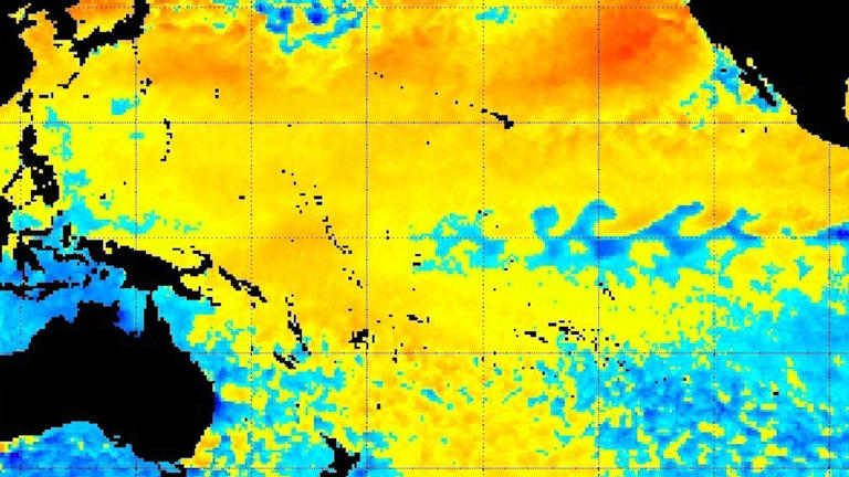 The Blob Has Returned To The North Pacific Ocean. Here's What That Means.