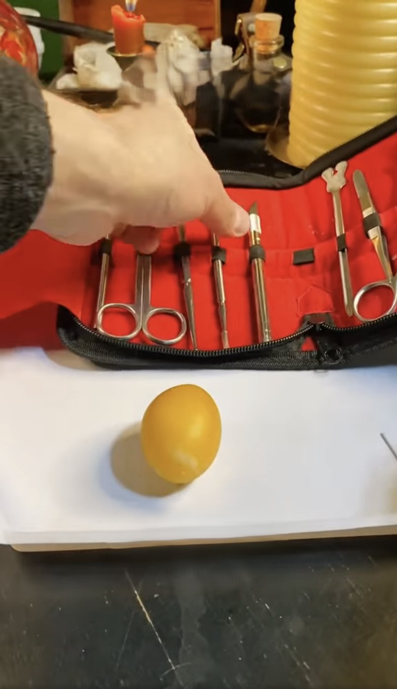 The Incredible Egg!