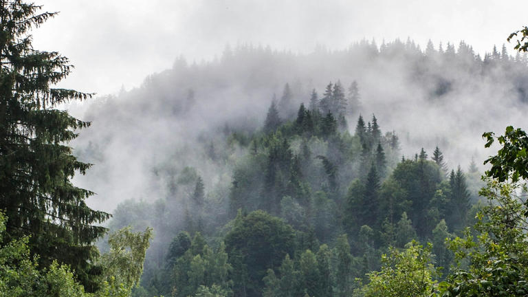 Drenching rains slide into B.C. as atmospheric river arrives
