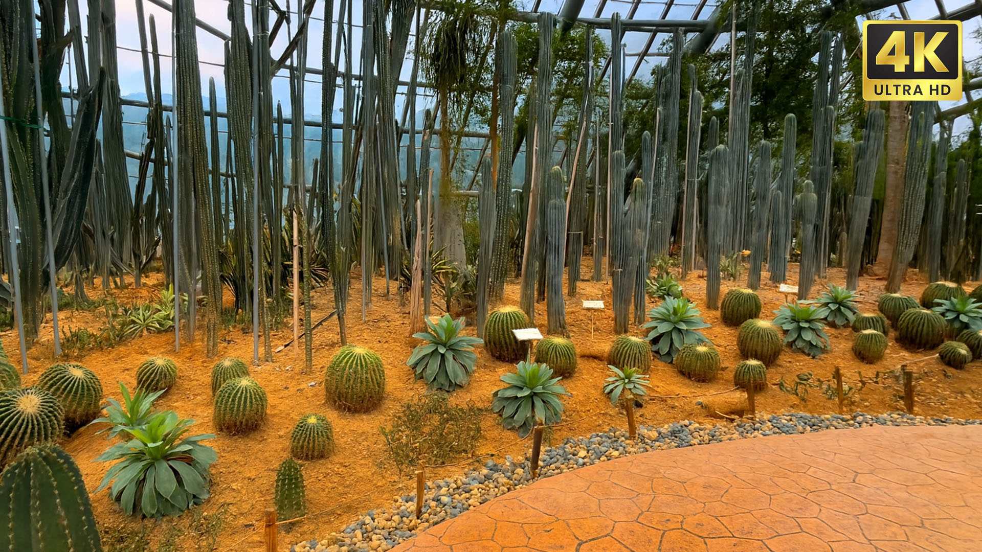 Indoor Eco Forest in Chinese Architecture – China 4K
