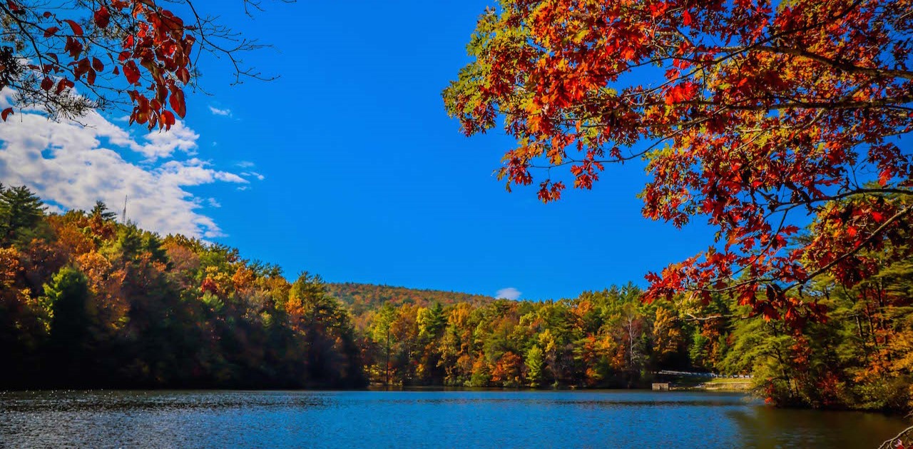 2025 Blue Ridge Mountains Fall Colors Forecast