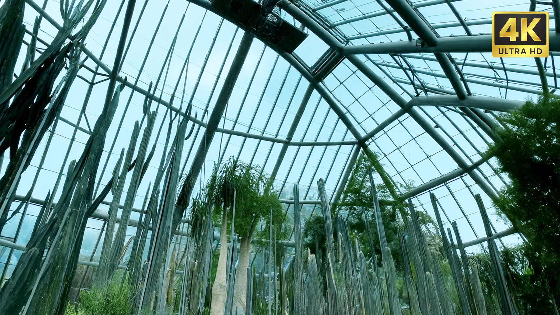 China’s Modern Indoor Forest Design – China 4K