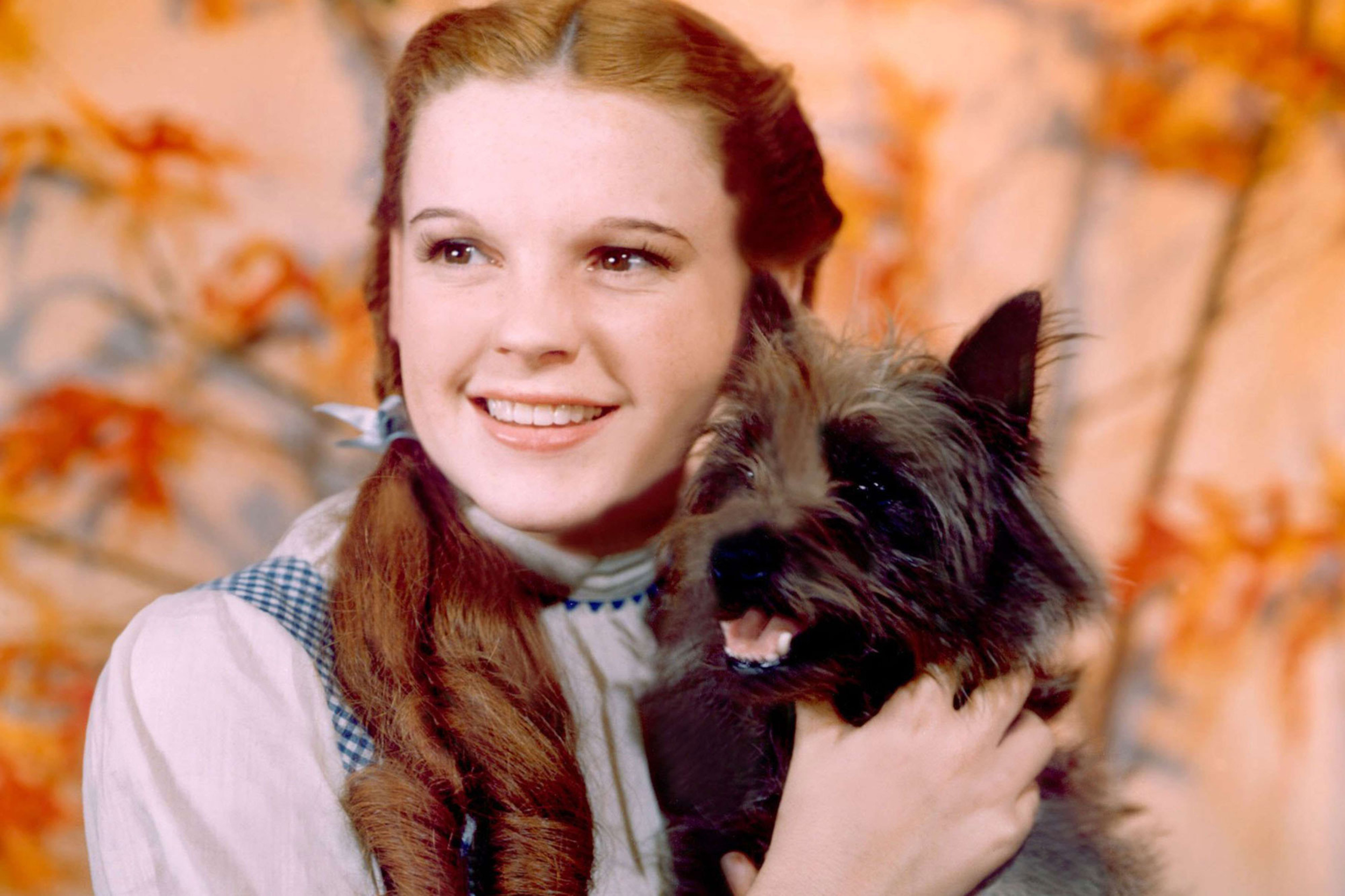 The 24 most beloved pop culture pets