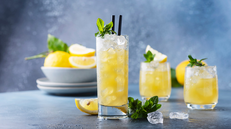 10 Best Drinks To Mix Lemonade, Ranked
