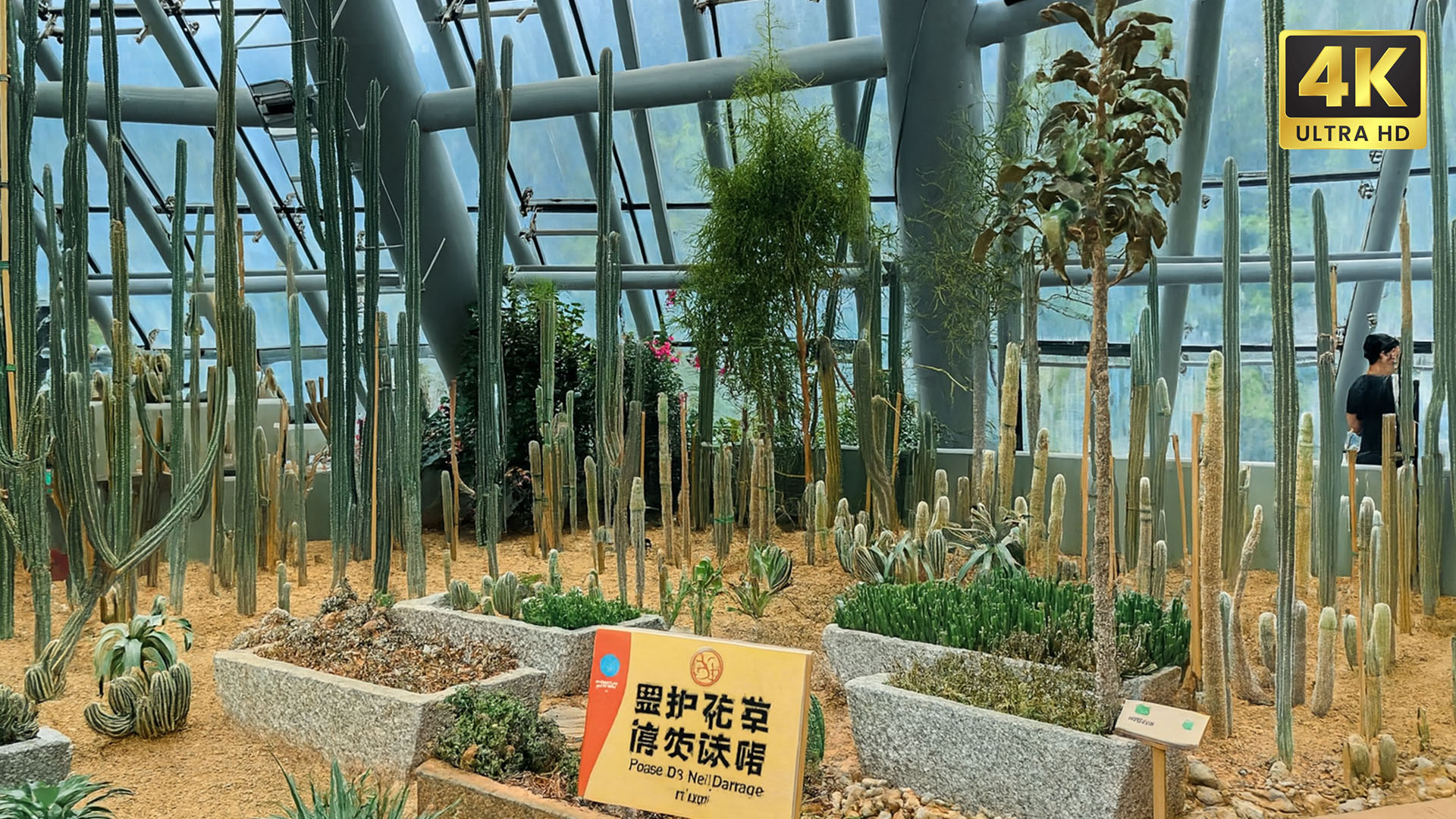 Preguntas para saber si eres un ser emocionalmente seguro