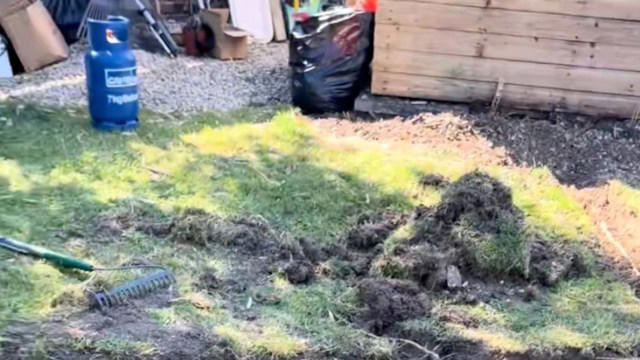 Homeowner issues warning after digging up nightmare issue in backyard ...