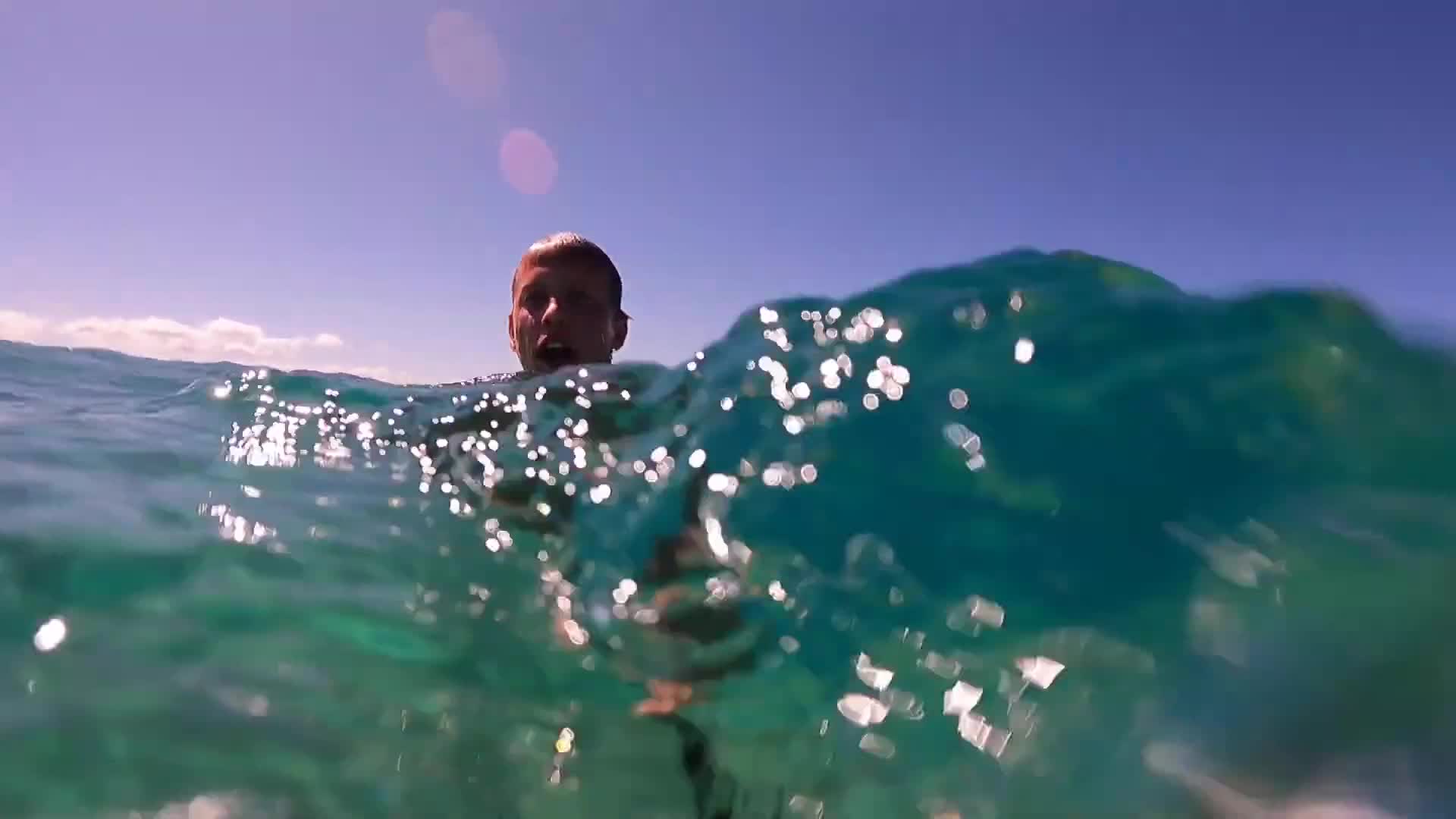 I found a giant ocean creature!