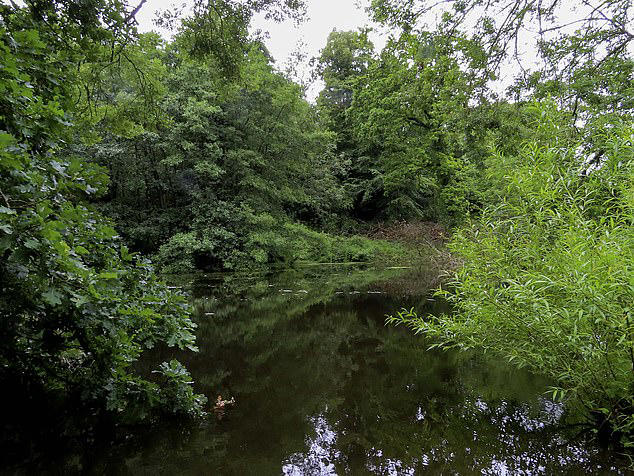 Narnia woodland death: Man in his 20s is found dead in nature reserve ...