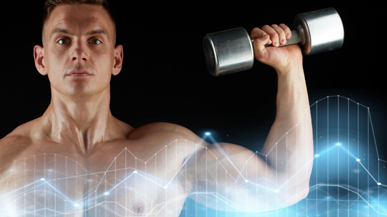 Synthetic muscles lift 1,000 times their weight