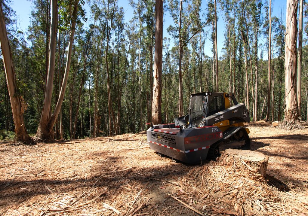 Large-scale fire-fuel reduction project at Anthony Chabot Regional Park ...
