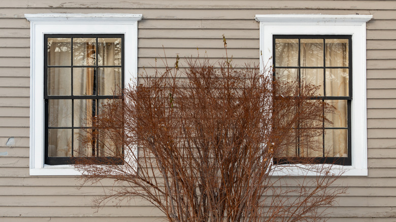 What Are The Lines On Some Windows Called And What Are They For?