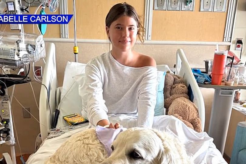 Teen loses leg after horror double shark attack during dream scuba ...