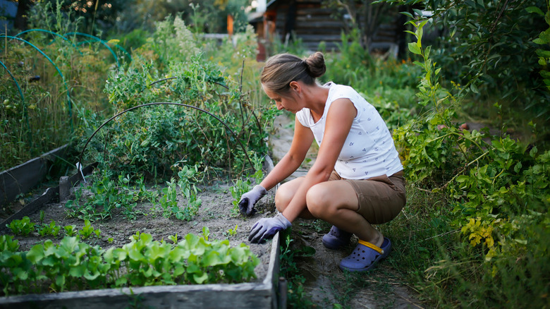 The Smart And Simple Tip That Cuts Down On Weeding Time In Your Garden