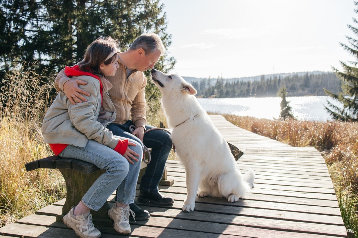 7 Signs Your Dog Thinks You're Their Whole World, Says an Expert
