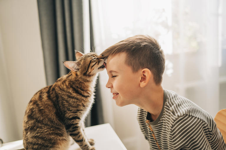 100+ Boy Cat Names for Your Furry Best Friend