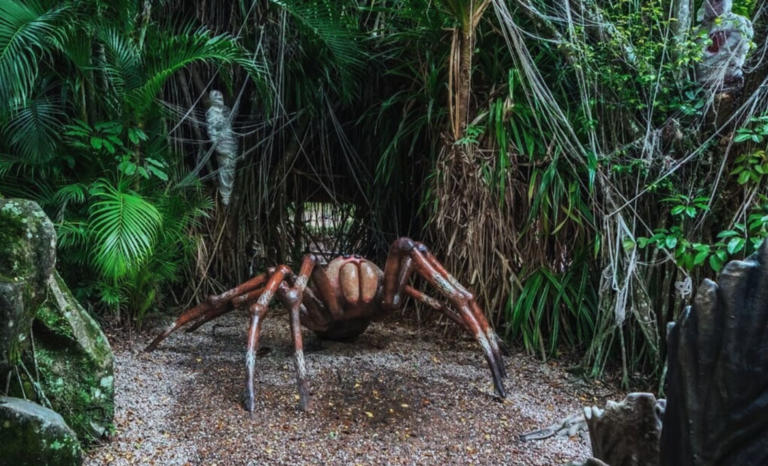Scientists Just Dug Up a Spider So Big, It Might Have Stalked the ...