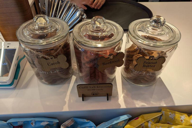 We tucked into human treats at a dog friendly cafe in former bank