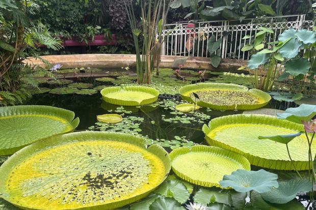 'Tranquil' botanical gardens 45 minutes from Worcester among UK's best