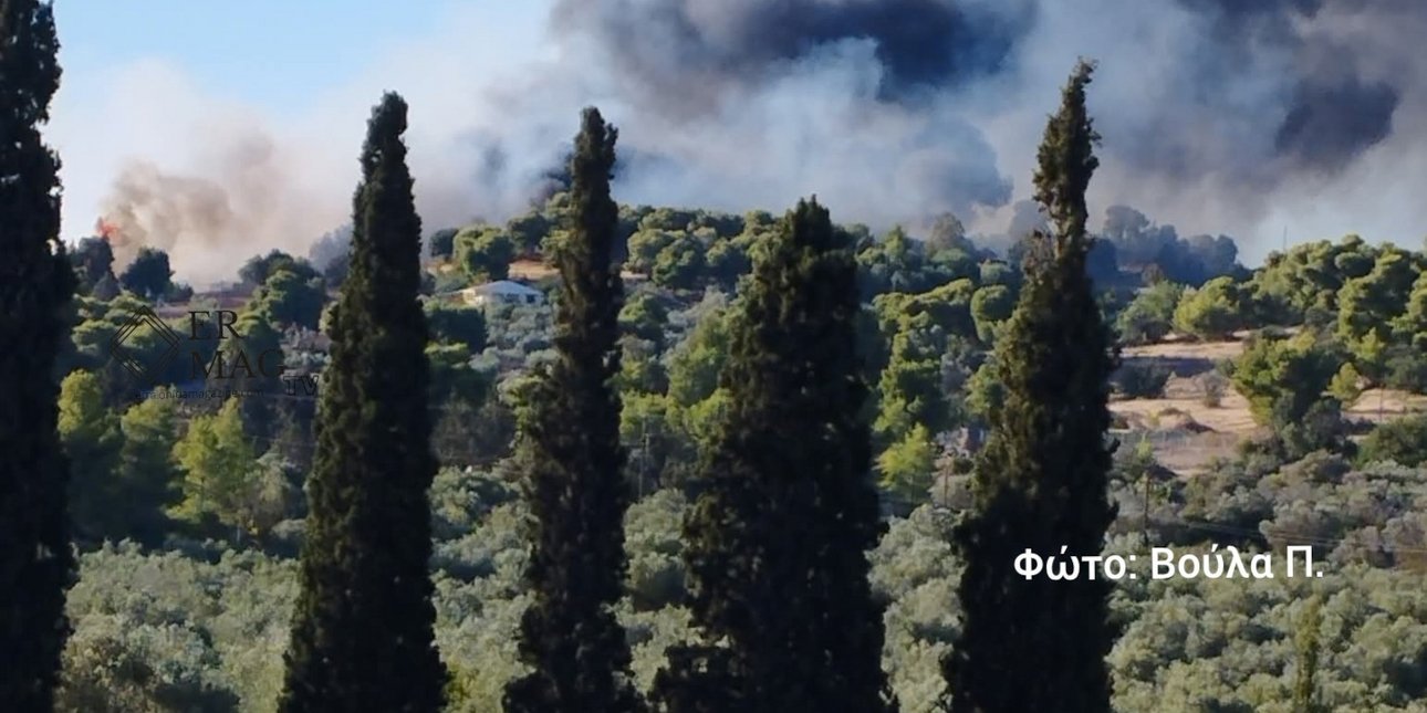 Αργολίδα: Φωτιά στην περιοχή Κουνούπι -Σηκώθηκαν 6 εναέρια ...