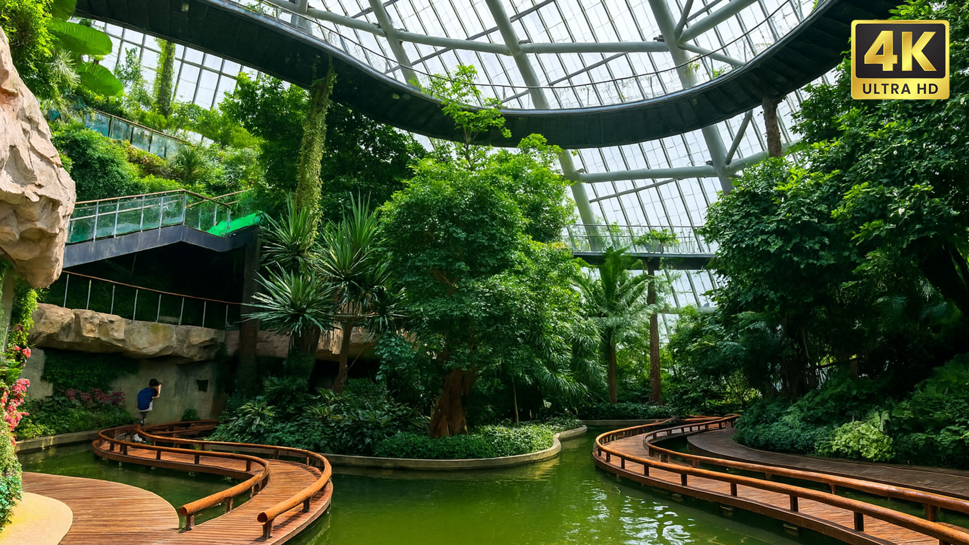 Recorrido por el bosque interior urbano de China en 4K