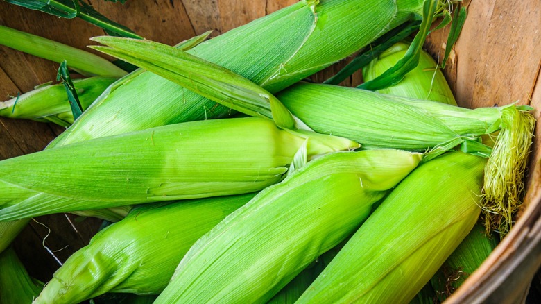 Why Husking Corn On The Cob In The Grocery Store Is A Major No-No