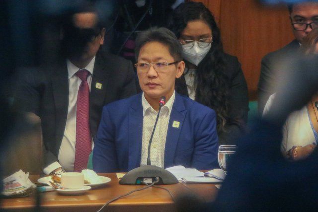 Curlee Discaya: No more lawmakers to name in alleged flood control ...