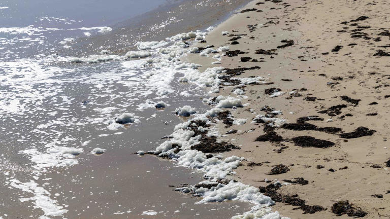 Ominous letter 2 years before ocean chaos
