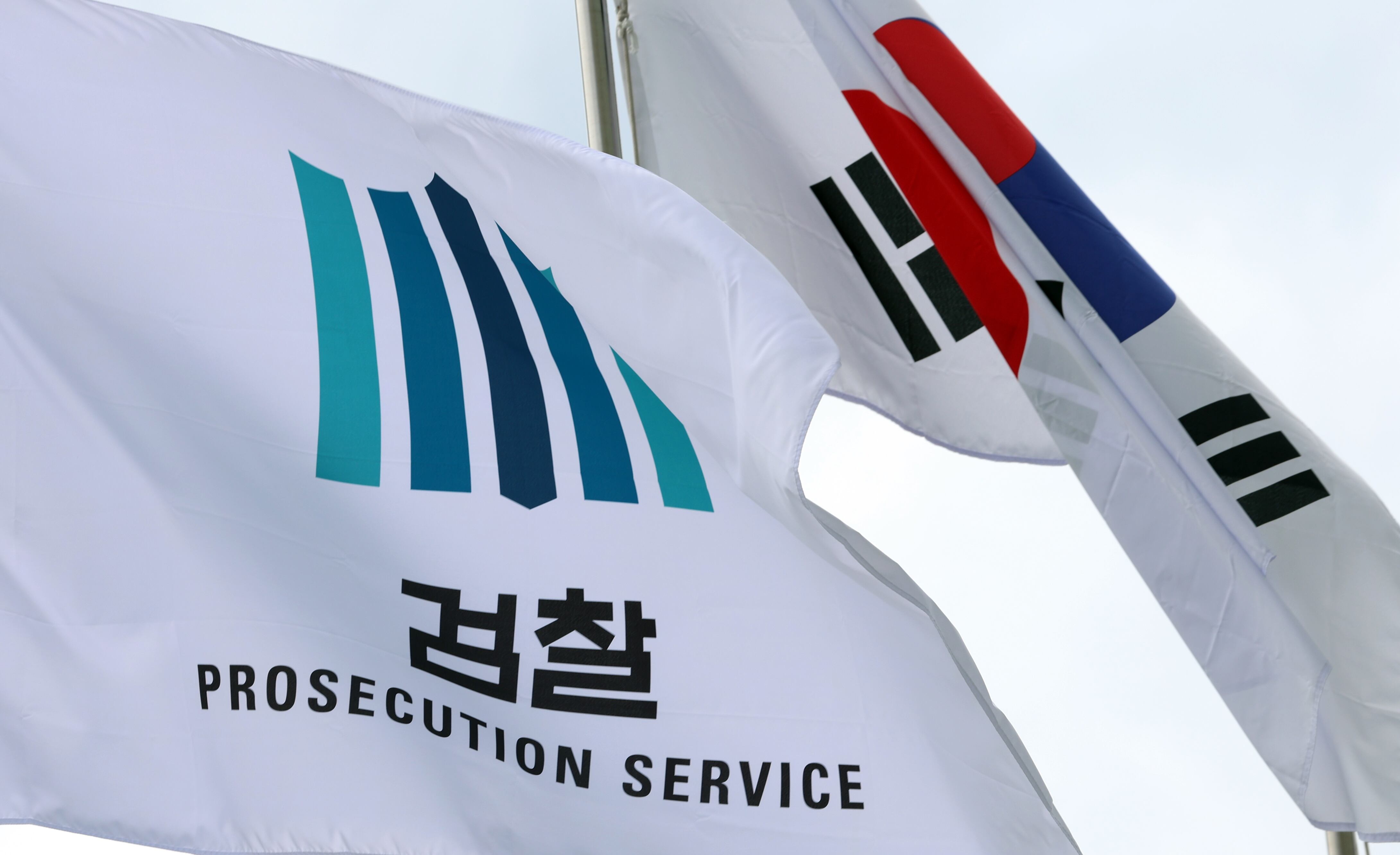 Prosecutor defends overwhelmed investigators in seal case