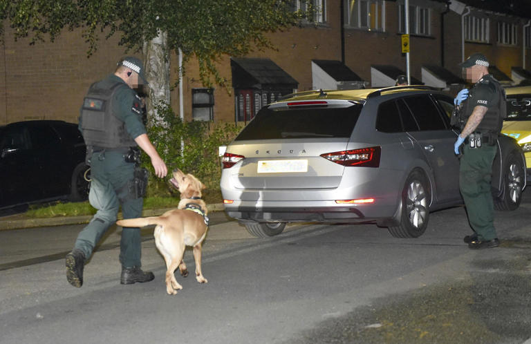 PSNI ask public to stay away from scene of Craigavon security alerts ...