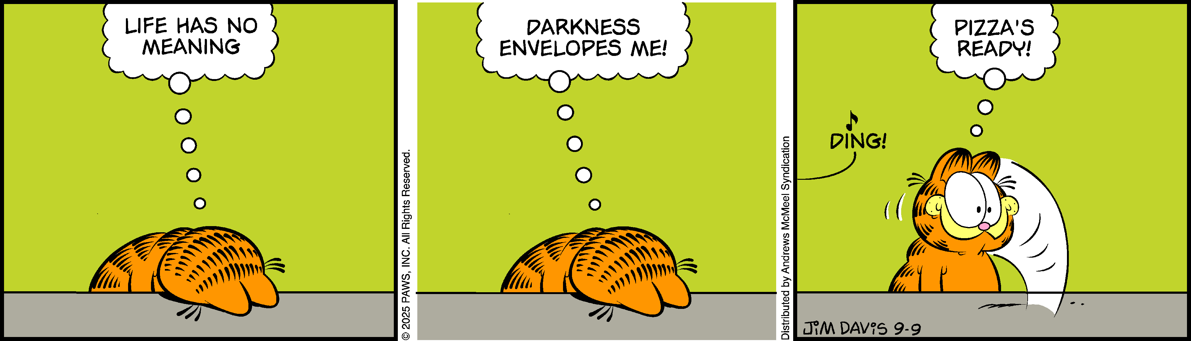 Garfield by Jim Davis