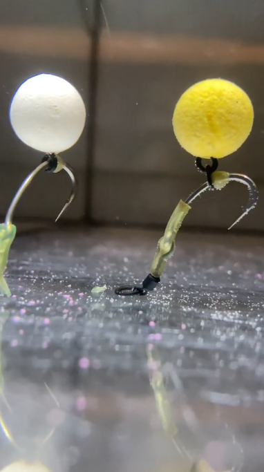 Viral Carp Rig Setup Fishing Tips That Hook Views