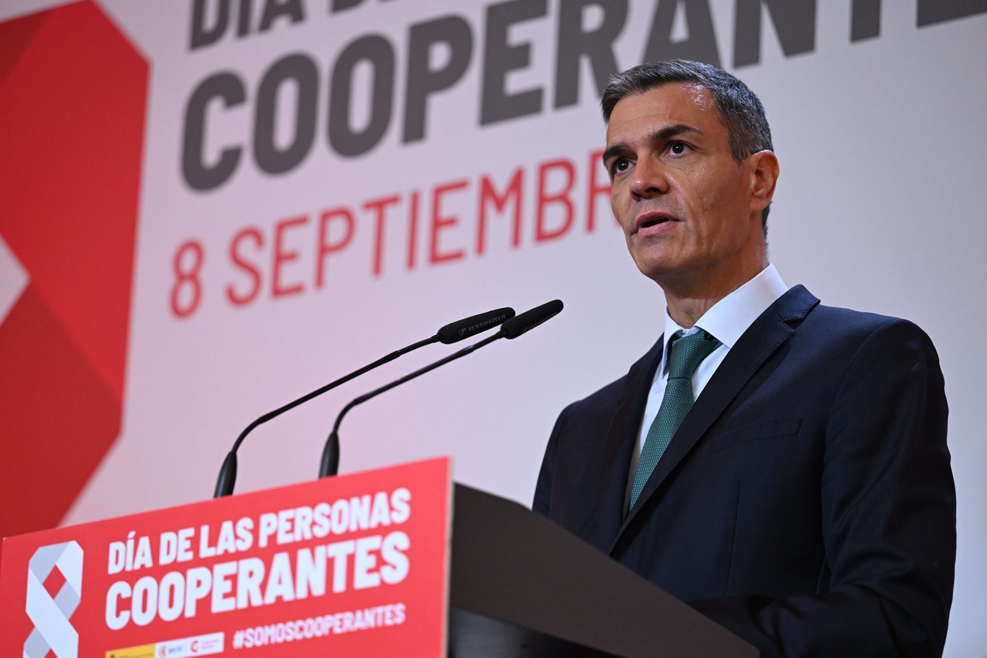 "Tarada", "partidarios de terroristas" y otras acusaciones de Herrera ...