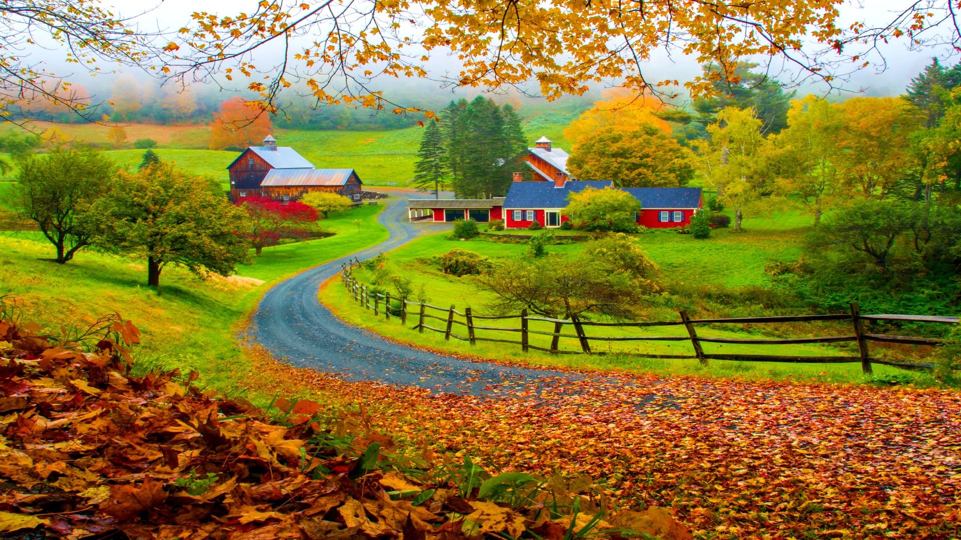 Fall Foliage Countdown: New Map Reveals Where To See Peak Fall Colors ...
