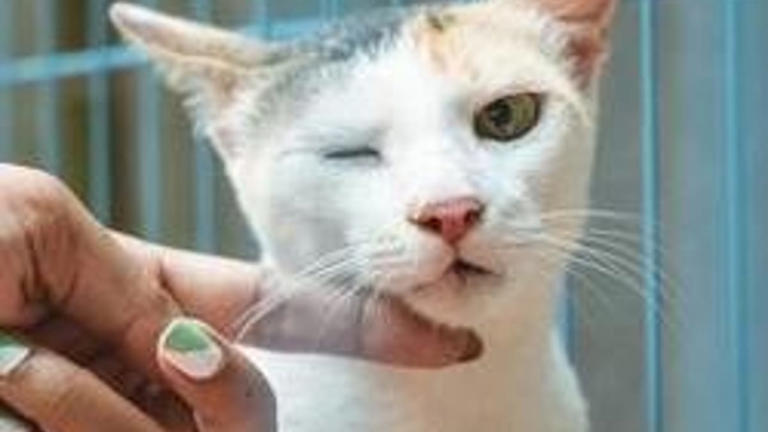 Kimpton Napa Valley debut set for 2028