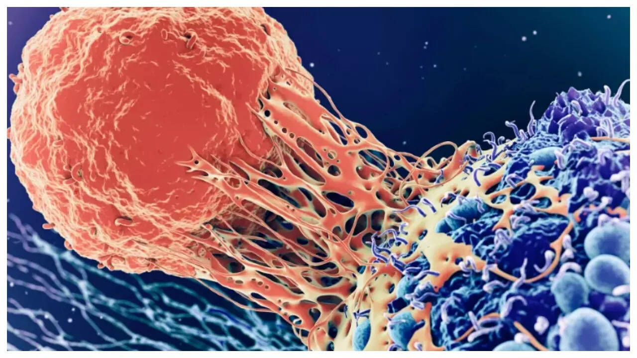 Russia’s recently announced cancer vaccine Enteromix is 'ready' for ...