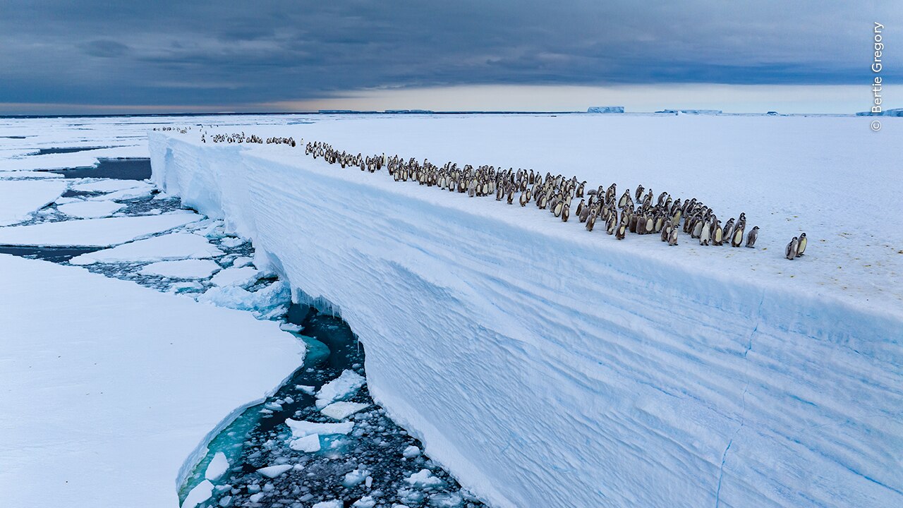 Polar 'geoengineering' projects won't protect environment against ...