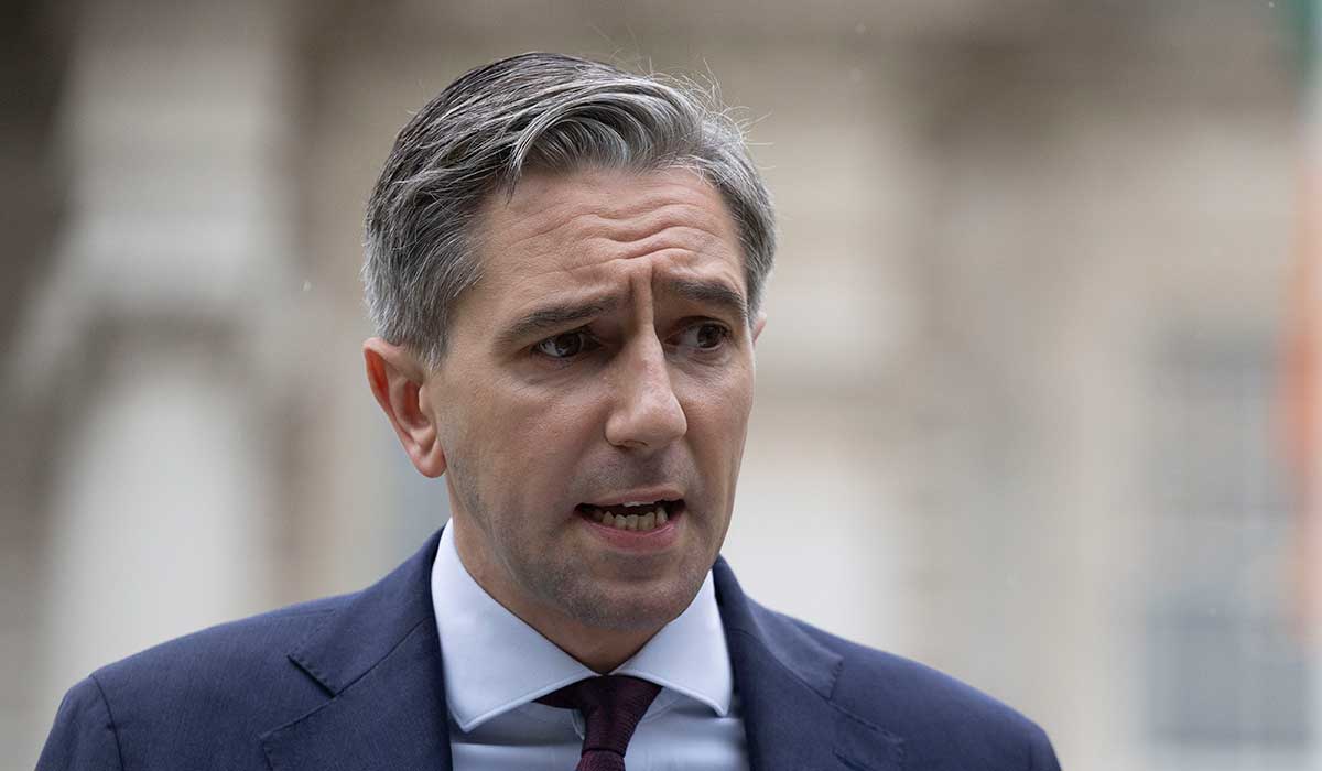 Simon Harris-on Ford? Tanaiste ‘appears’ in unlikely video game