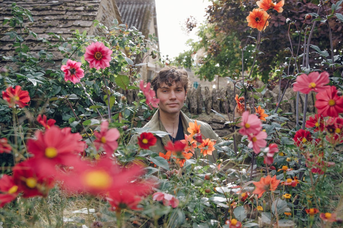 Forget feeders: Arthur Parkinson on how to grow a 'completely organic' bird-friendly garden