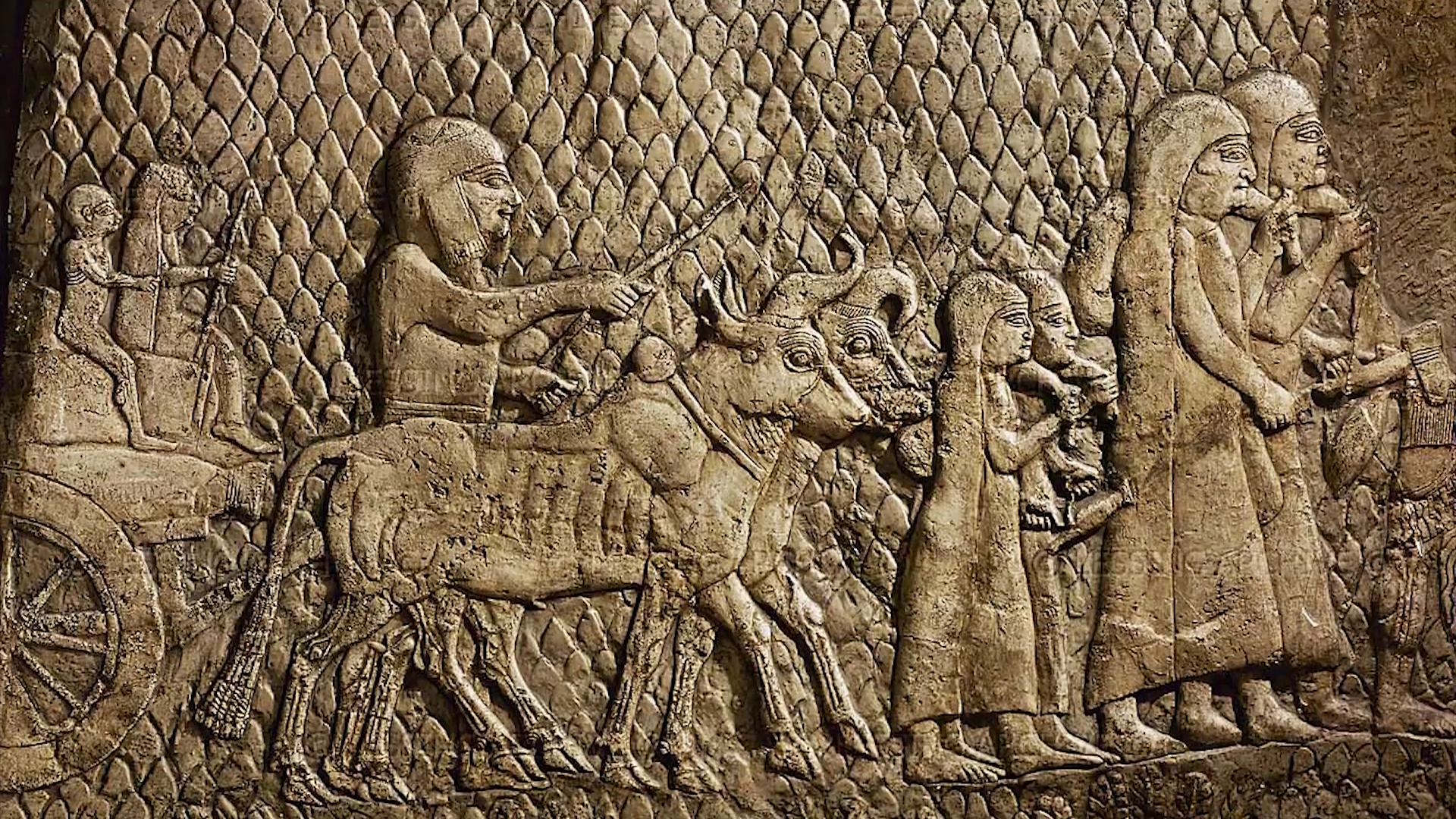 The ancient error that named a continent