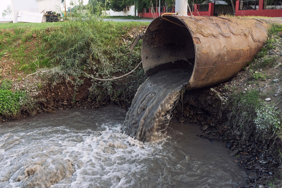 UK water giant to pay £44.7m over 'unacceptable' sewage spills