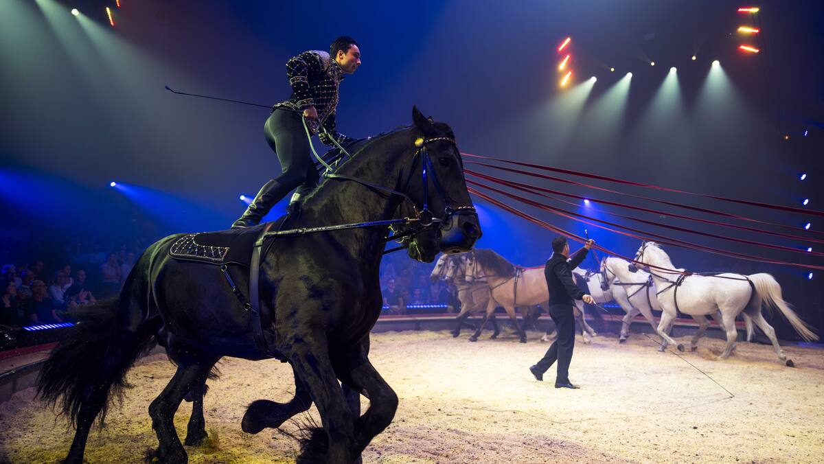 Pour la première à Lausanne : Gagnez des billets pour le majestueux ...