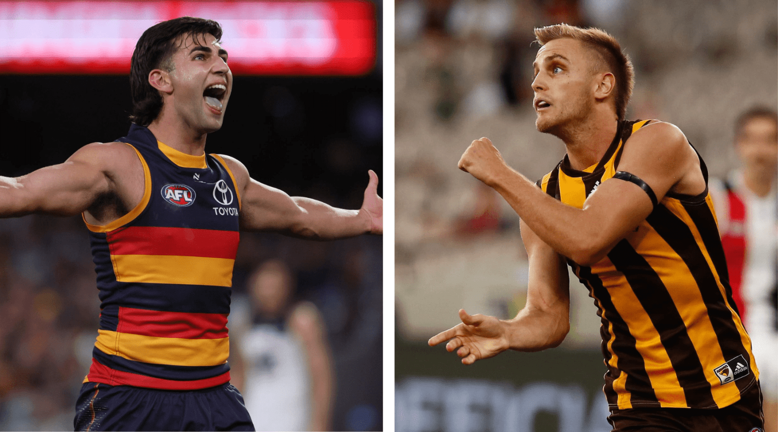 Crows provide latest on quartet, Hawk’s season over: AFL injury news