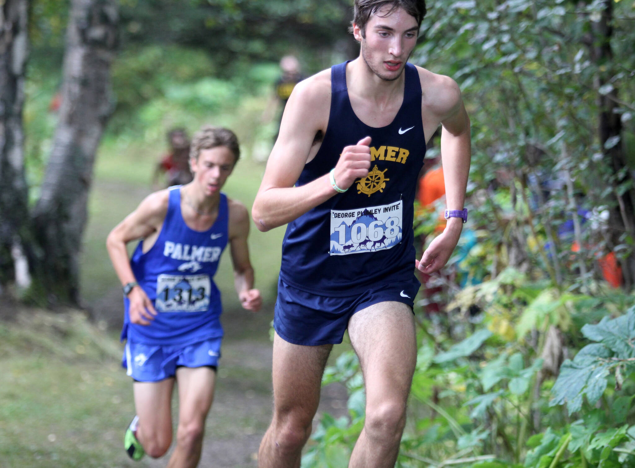 Homer boys nab 2nd at George Plumley Invite