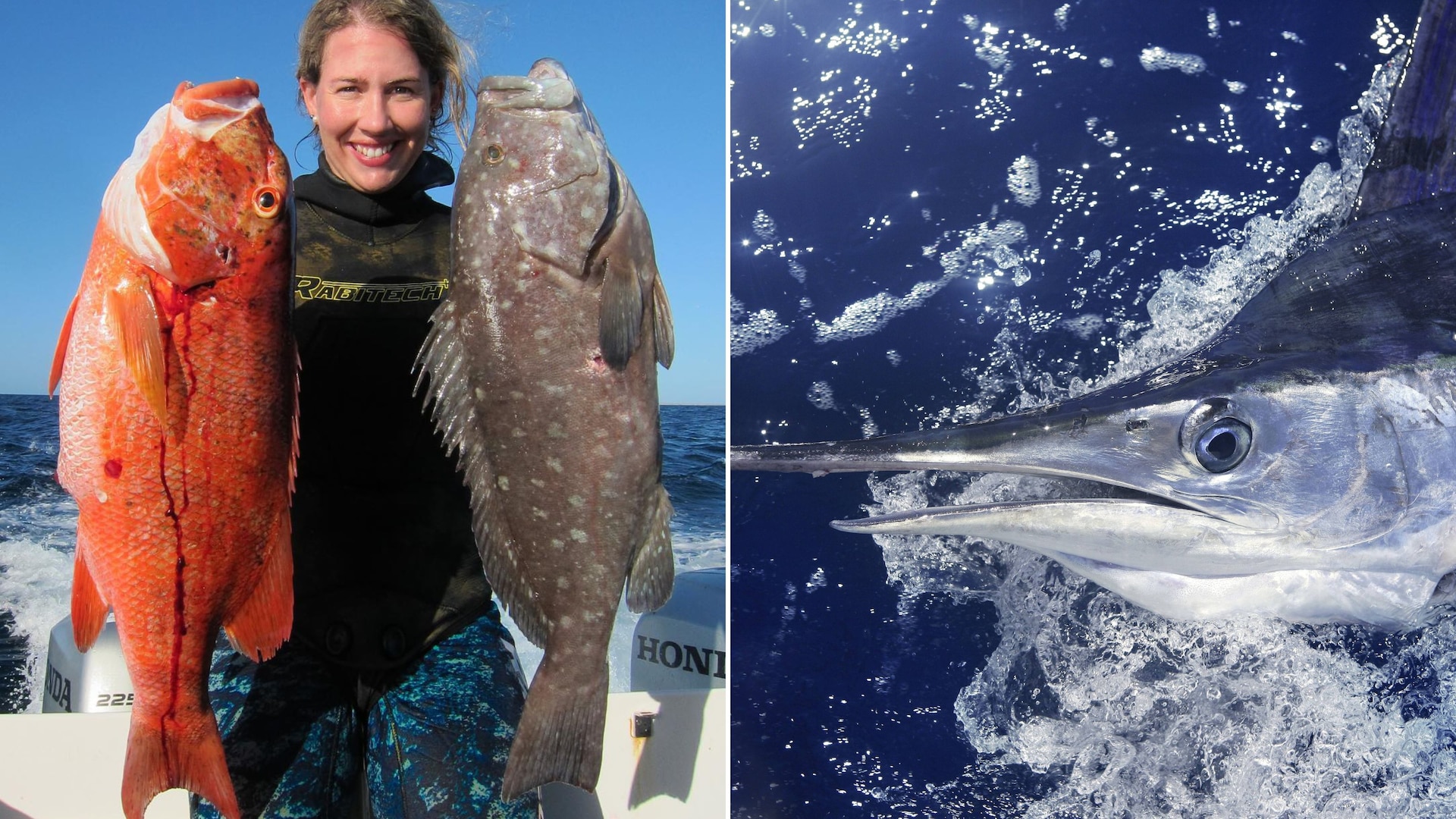 Australierin erlegt 162-Kilo-Marlin mit Harpune