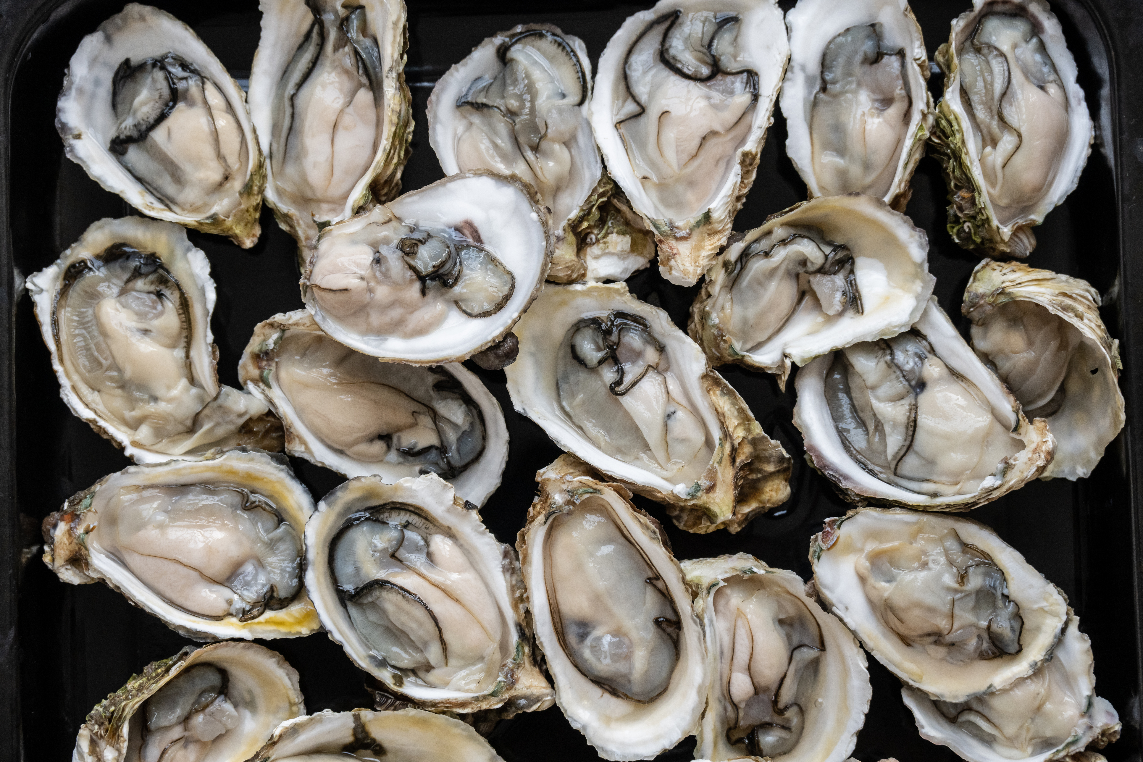 What can happen when you eat raw oysters