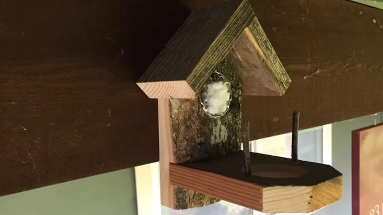 How To Create A Hummingbird Nest Box That Attracts These Colorful ...