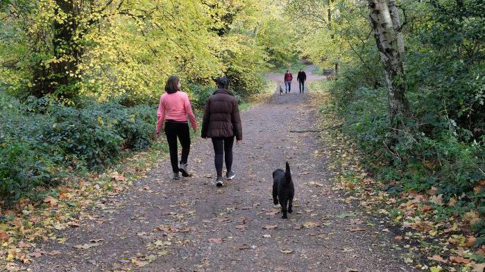 Council considers dog walking code of conduct